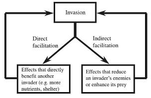 Invasion Ecology – Ecological Preserve