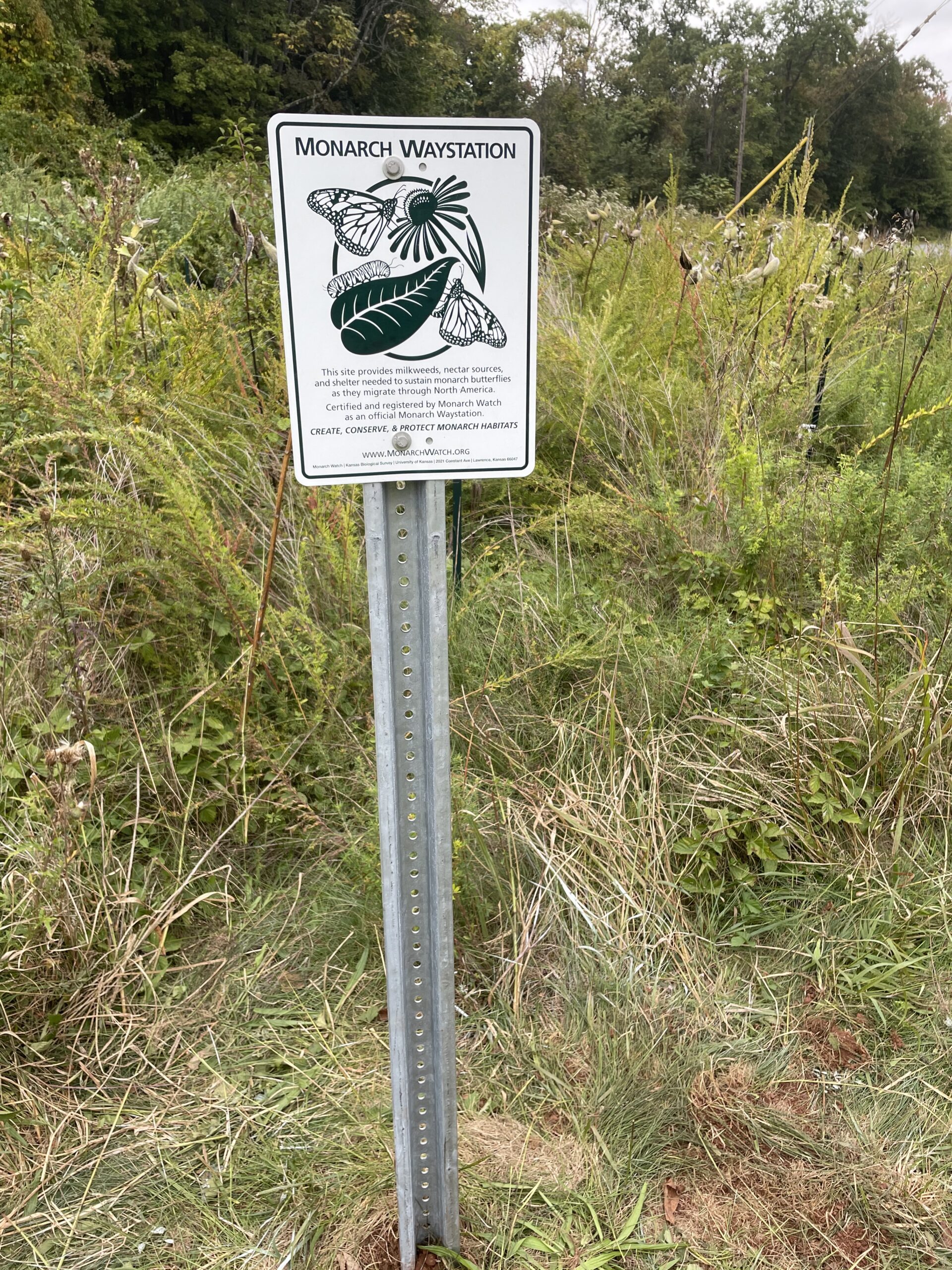 Monarch Waystation Installed – Ecological Preserve